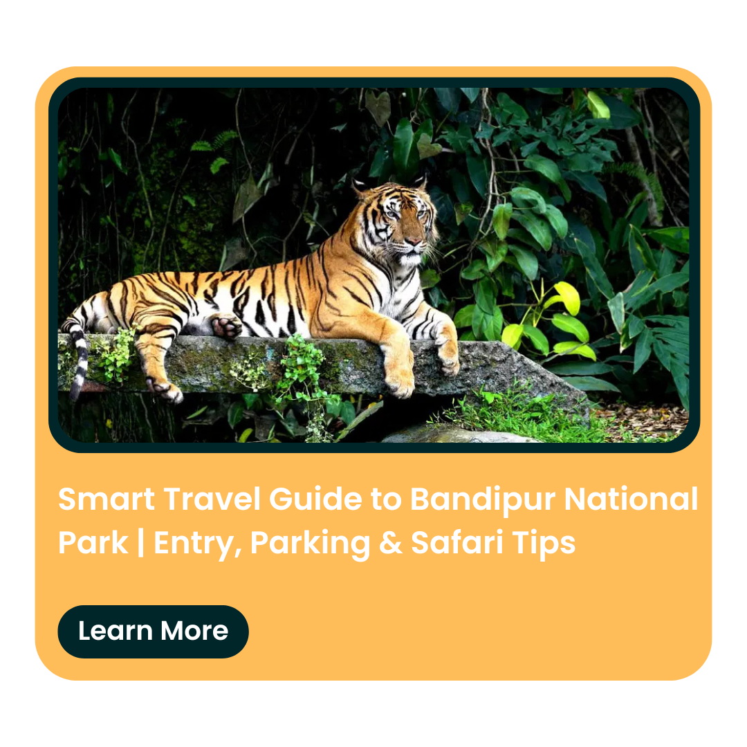 Smart Travel Guide to Bandipur National Park | Entry, Parking & Safari Tips